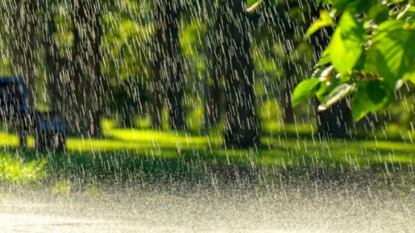 É importante entender a origem da água da chuva? – TV Florida USA – A ...